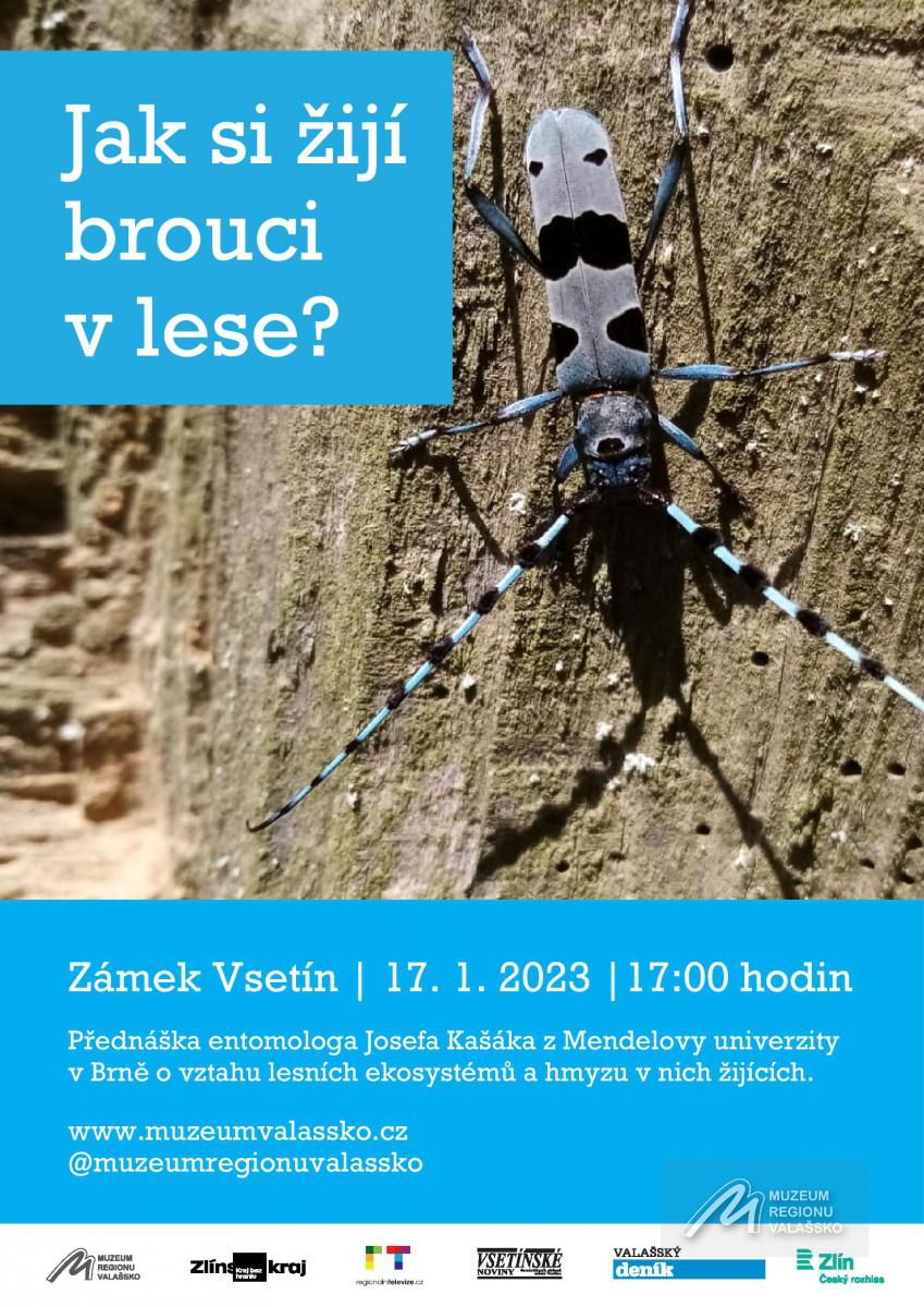 Jak si žijí brouci v lese? | Muzeum regionu Valašsko